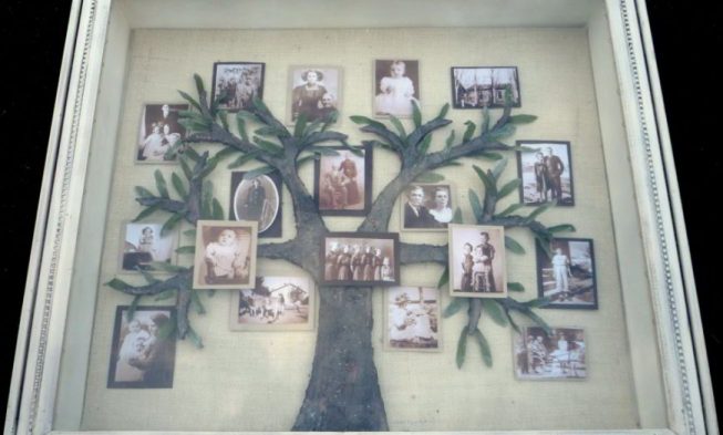 Family Tree Shadow Box - GRIP ELEMENTS