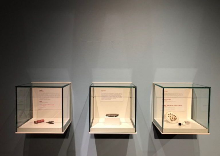 7 Savvy DIY Display Cases for Woodworking Project