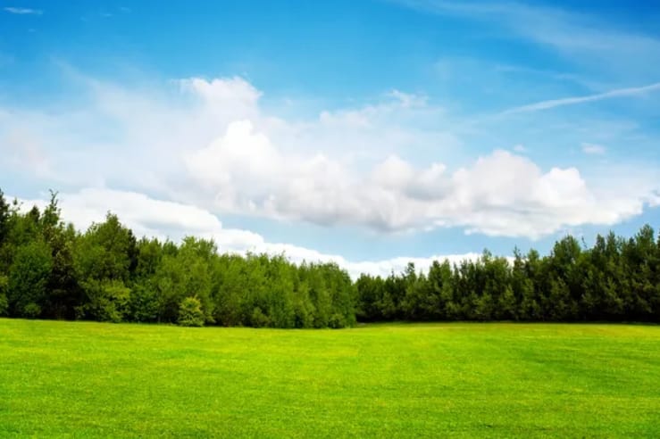 Vacant Land - GRIP ELEMENTS