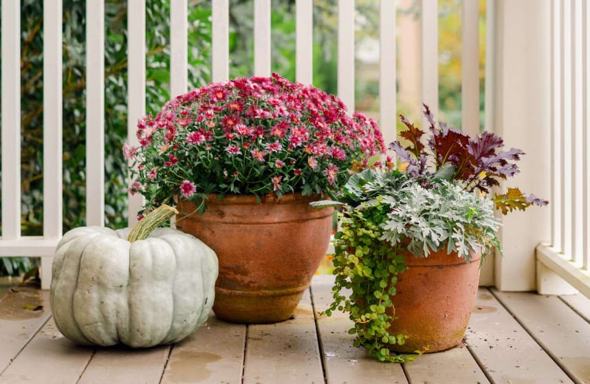 clay container for planter - GRIP ELEMENTS