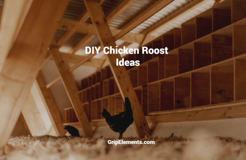 7 Chicken Roost Ideas That Are Simple and Easy to Make - GRIP ELEMENTS