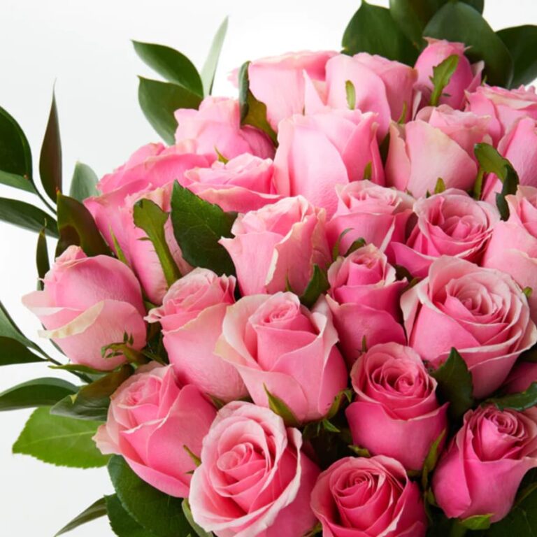 Pink Rose Flower Meaning - GRIP ELEMENTS